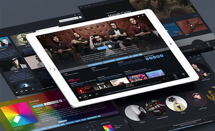 What is Roon? : Everything You Need to Be Roon Ready | World Wide Stereo