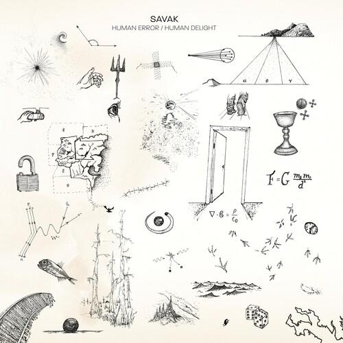 Human Error / Human Delight - Vinyl LP – World Wide Stereo