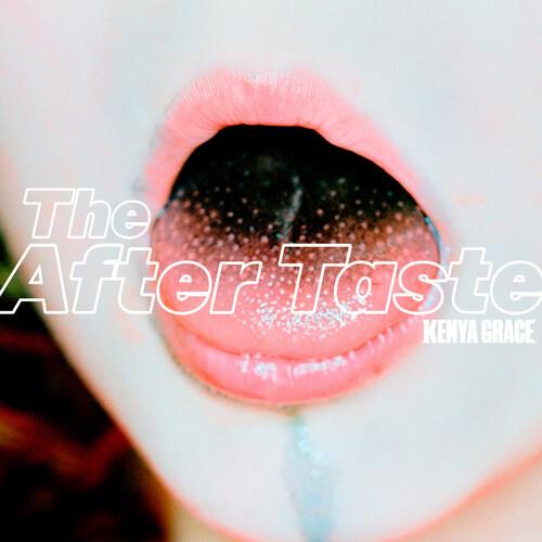 The After Taste - Vinyl LP – World Wide Stereo
