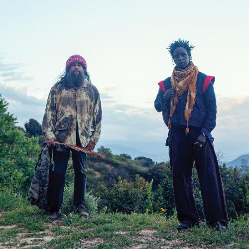 Saul Williams meets Carlos Nino & Friends at Treepeople - Vinyl LP ...